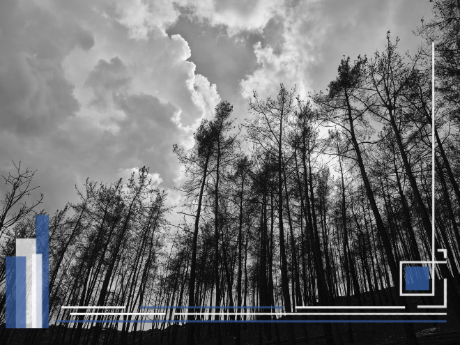 Better but not enough: European insurers' climate disclosures in 2021 ...