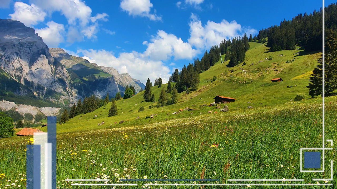 Swiss Insurance Asset Investment Distribution • Solvency II Wire